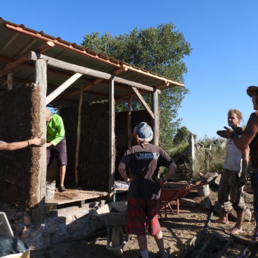 Long Drop Vermiculture Compost Toilet