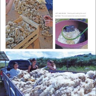 Cleaning and Using Sheep Wool for Insulation