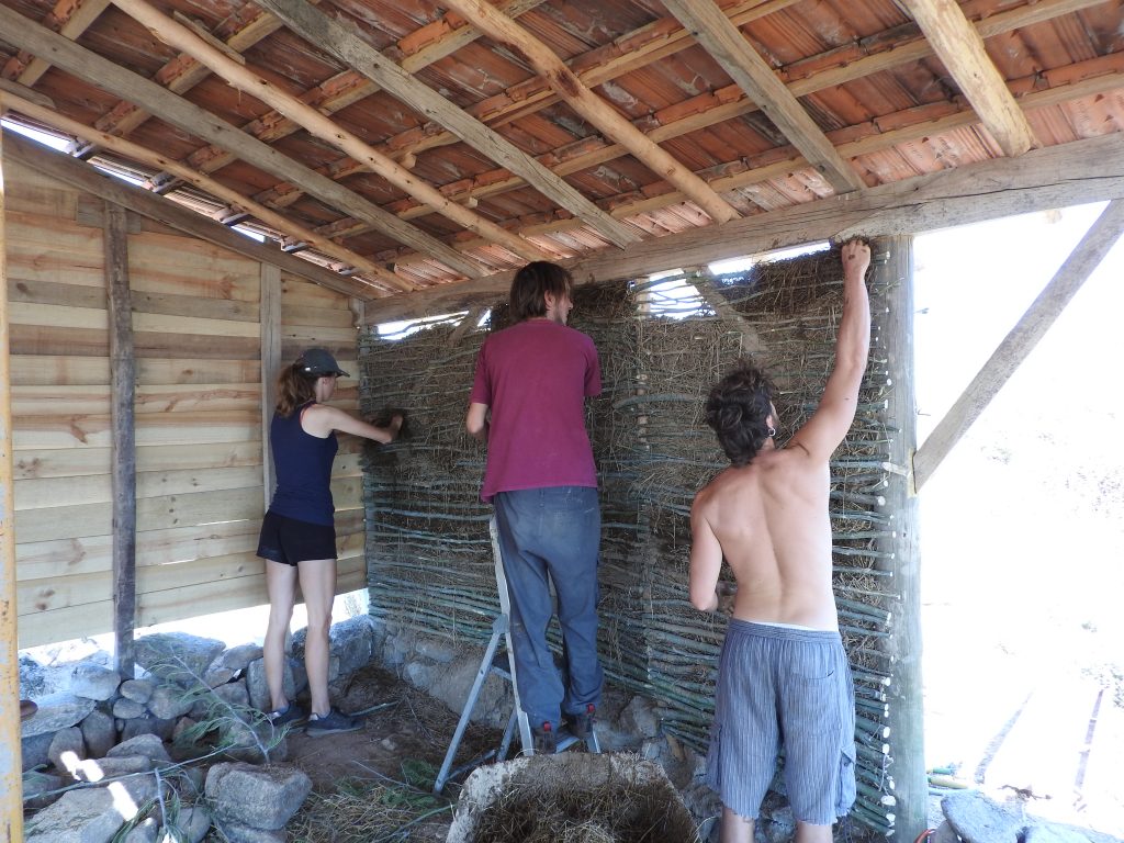 Photos from the 2020 Natural Building Internship